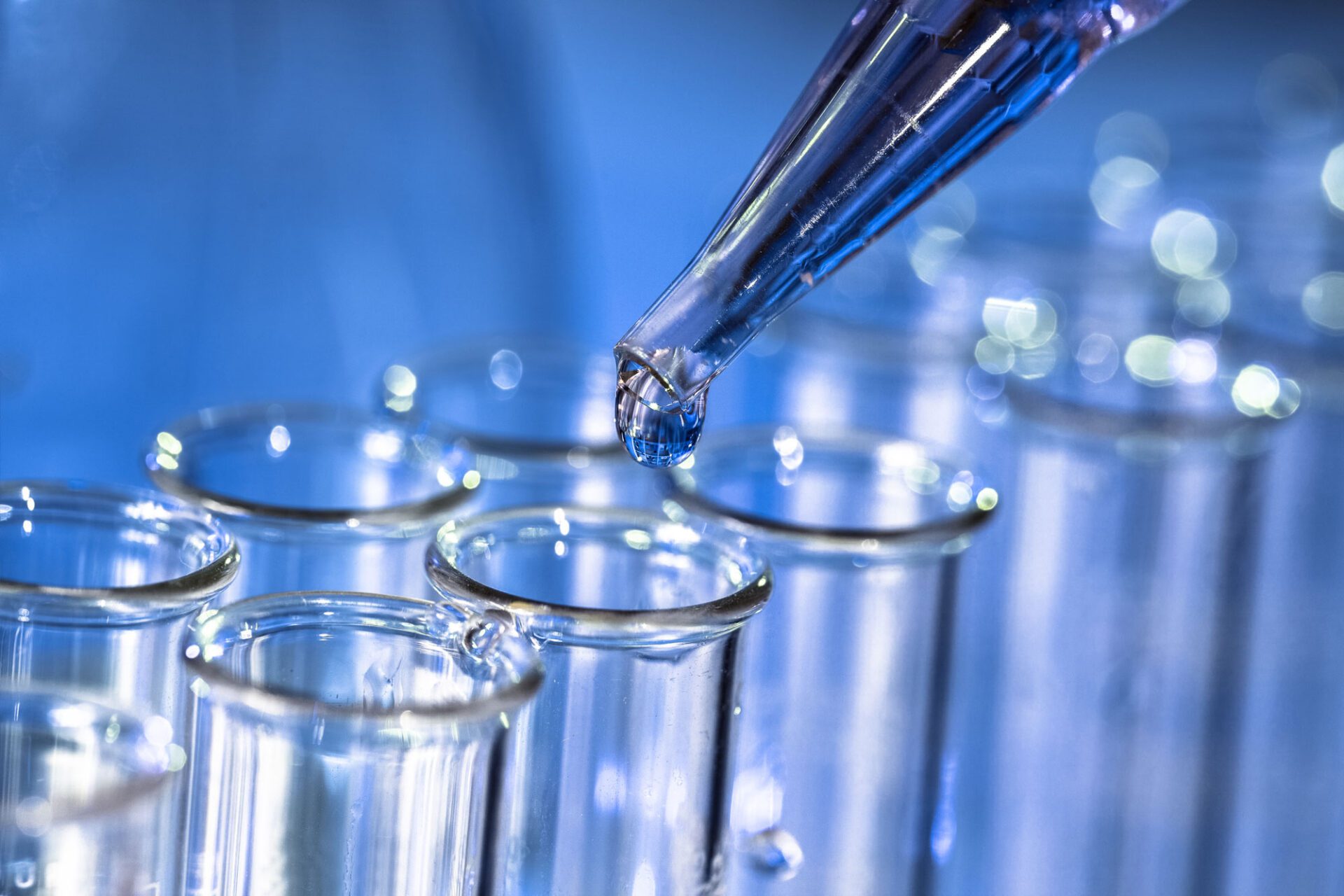 Comprehensive Laboratory Testing Services | Precision Analytical Labs